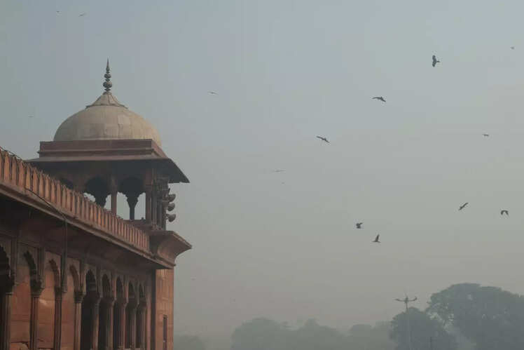 Historical places from ancient India | Times of India Travel