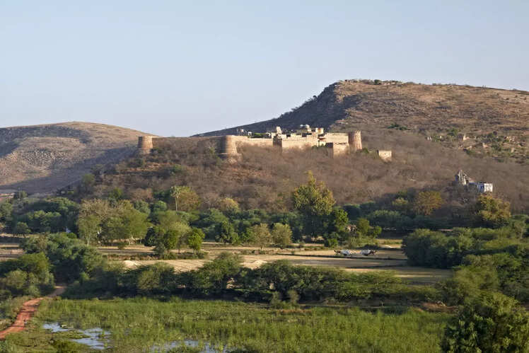 Magnificent palace and fort hotels in India | Times of India Travel