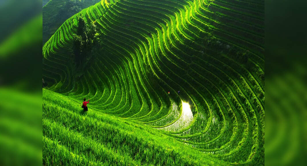 World’s most incredible rice terraces in pictures | Times of India Travel