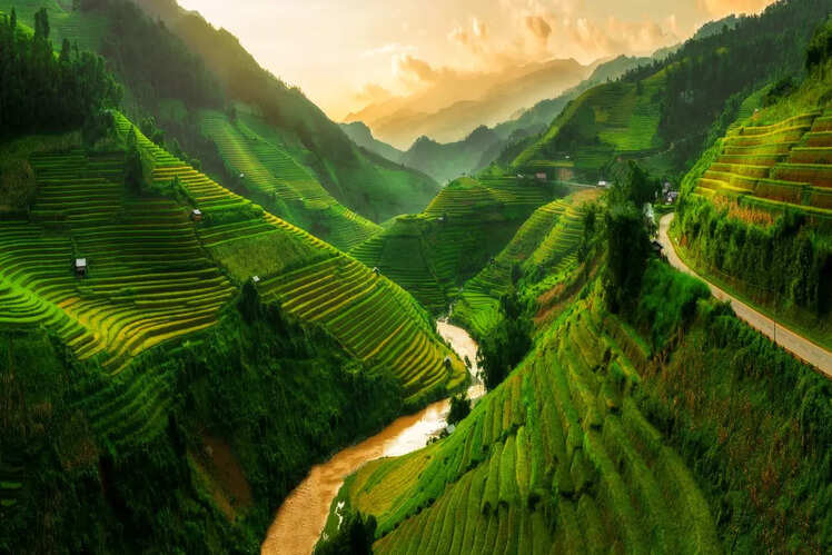 World’s most incredible rice terraces in pictures | Times of India Travel