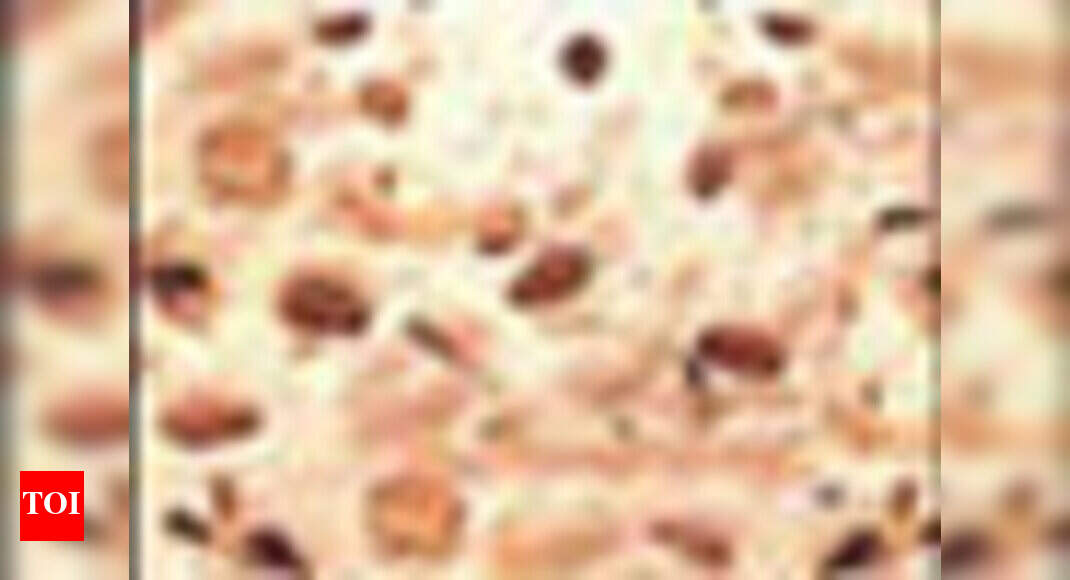 Palgova or Thirattipal - A Traditional Diwali Sweet - Times of India