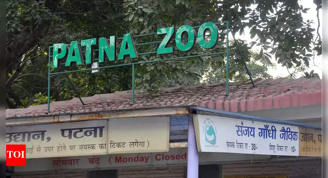Patna: Patna Zoo Will Have More Inmates Soon | Patna News - Times of India