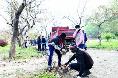 Mc Holds Special Plogging Drive | Chandigarh News - Times of India