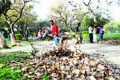 Mc Holds Special Plogging Drive | Chandigarh News - Times of India