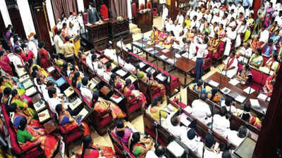 Tamil Nadu: How urban local bodies can work better | Chennai News ...