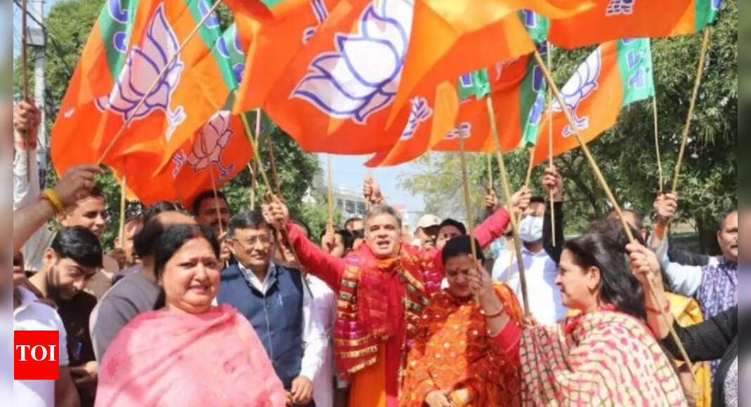 Assembly Polls: Jubilant BJP workers in J&K celebrate party's victory ...
