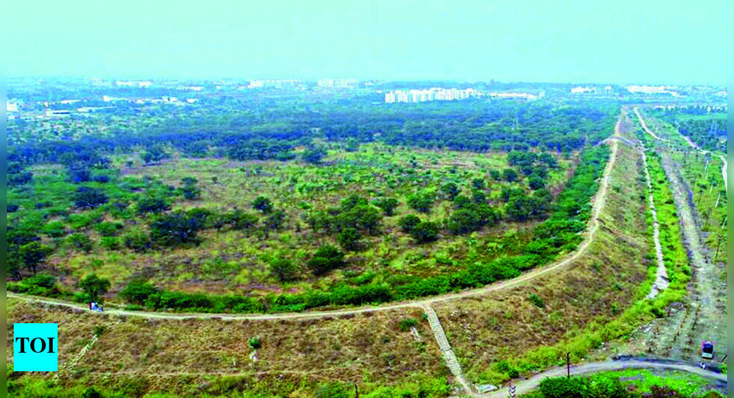 Turn Chinnavedampatti Lake Into Reservoir, Say Activists | Coimbatore ...