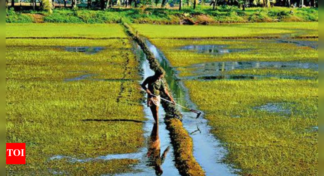 Kuttanad: Kerala: Kuttanad gets Rs 140 crore for flood control ...
