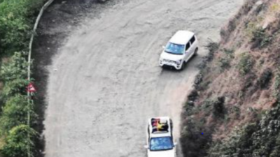 Visava Point: Woman, Infant Son Die As Car Falls Into Amba Ghat Valley ...