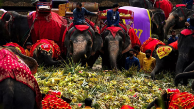 Thailand lays out buffet for elephants in national celebration - Times ...