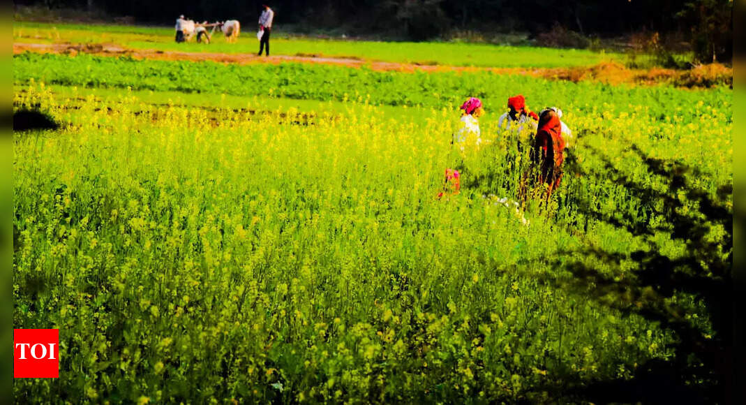 1st In Country, Telangana Moves To Index Its Crops | Hyderabad News ...