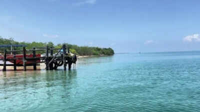 Tamil Nadu: Tourists can now take a trip to Kurusadai island | Madurai ...