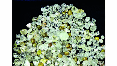 Sdb: Diamond Bourse Lifts Sda Membership, More Than 4k Register | Surat ...