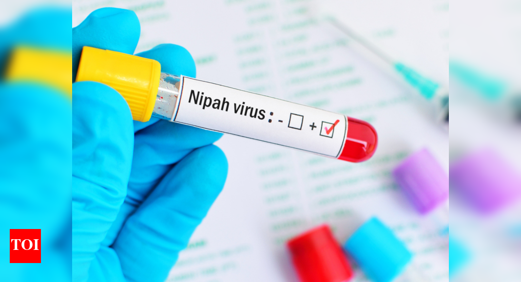 Nipah virus: US scientists develop vaccine that can save lives in just ...