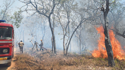 About 259ha Hit In 106 Forest Fire Incidents | Kochi News - Times of India