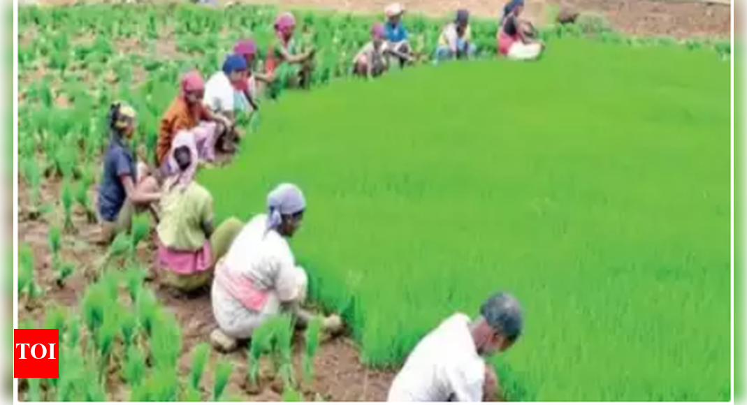 Tamil Nadu agriculture budget: TN takes digital route to help farmers ...