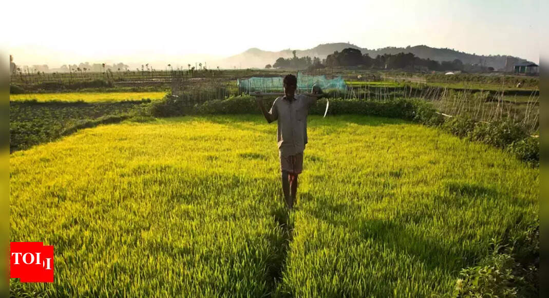 Water-starved Tamil Nadu puts focus on crop diversification | Chennai ...