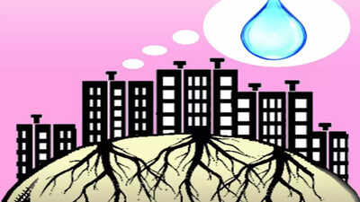 Experts Plea For Judicious Use Of Groundwater | Patna News - Times of India