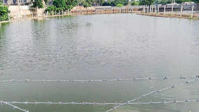 119 waterbodies in Delhi’s villages being developed as ‘model ponds ...