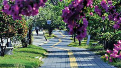 Panampilly Nagar Shows The Way | Kochi News - Times of India