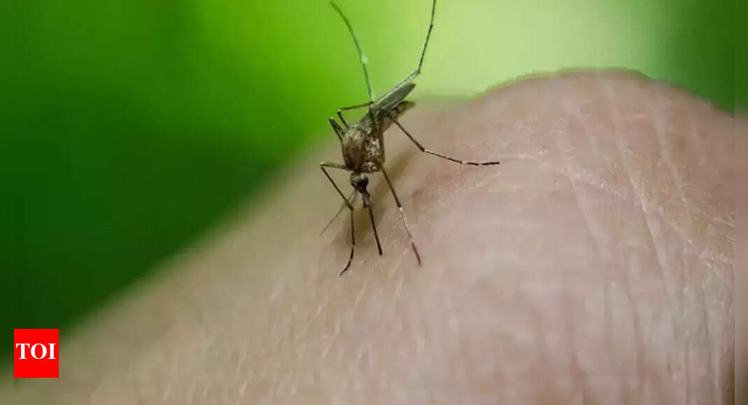 Delhi: 40-year-old infected by elephantiasis 10 years ago gets to walk ...