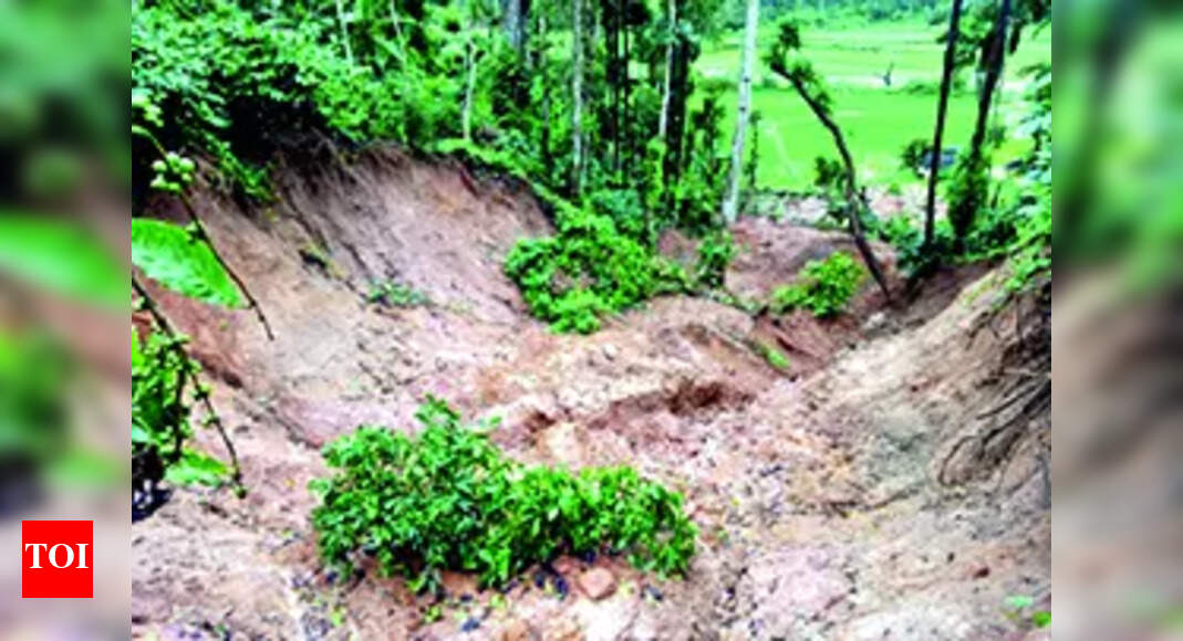 Visakhapatnam: Ap Farmers Reap Carbon Credits From Agriculture ...