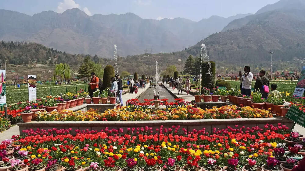 Photos of Asia's largest tulip garden in Srinagar | The Times of India