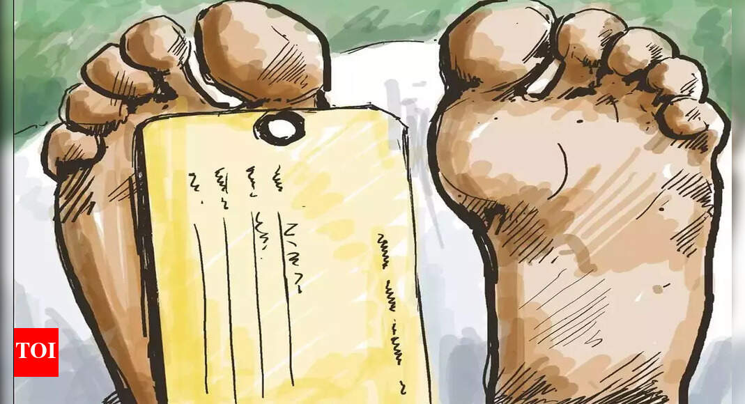 Man Commits Suicide In Mango Orchard | Chandigarh News - Times of India