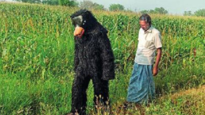 Siddipet: Monkey Menace: Siddipet Farmer’s Efforts To Scare Simians ...