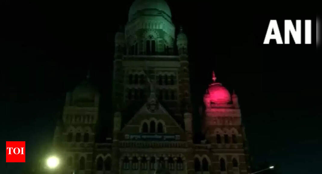 Mumbai saves 30MW power during Earth Hour | Mumbai News - Times of India