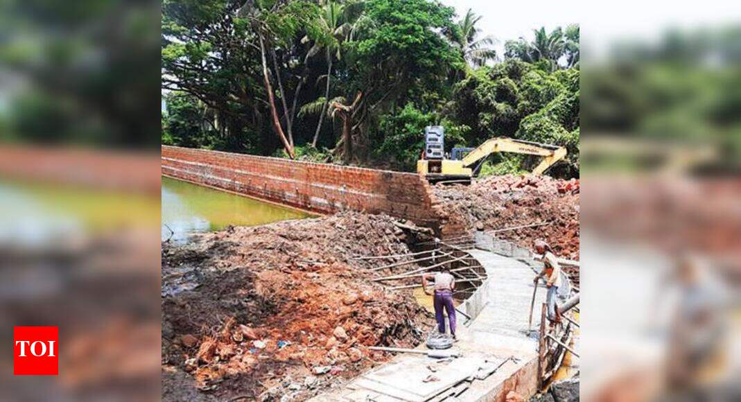 New road along St Inez creek poses threat to ecology | Goa News - Times ...