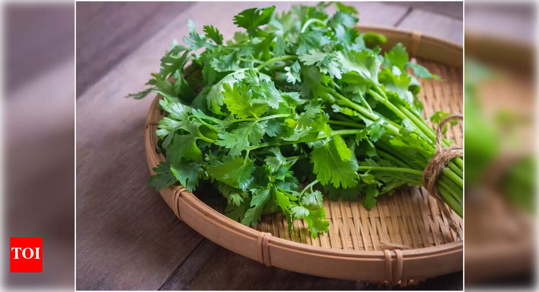 Coriander for beauty? You bet! - Times of India