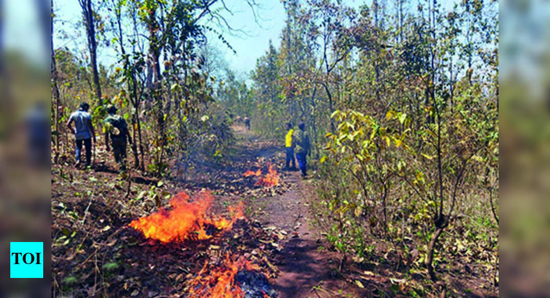 State Gets Edgy With Fire Raging Across Its Forests | Bhubaneswar News ...