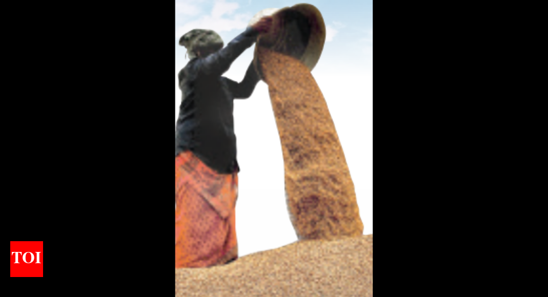 Rice: Rice Worth ₹3.3k Crore Yet To Be Lifted From T By Fci | Hyderabad ...