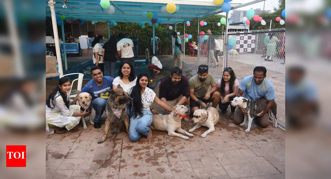 'Howli' Hai: A full day of fun, food, colour and fur babies! | Events ...