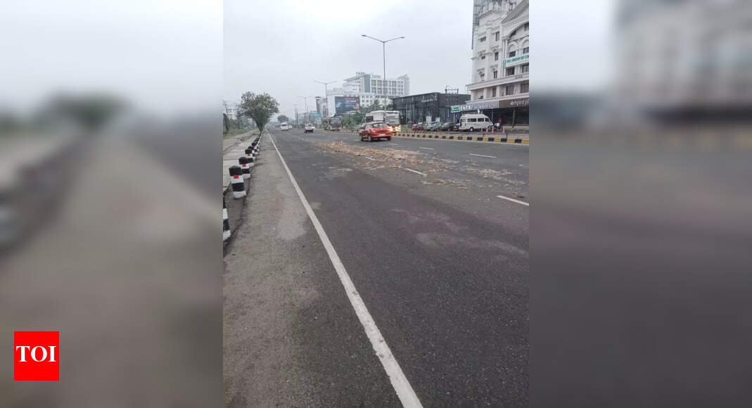Waste disposal on National Highway - Times of India