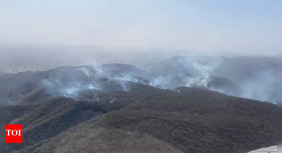 Fire in Sariska forest largely under control: Rajasthan CM | Jaipur ...