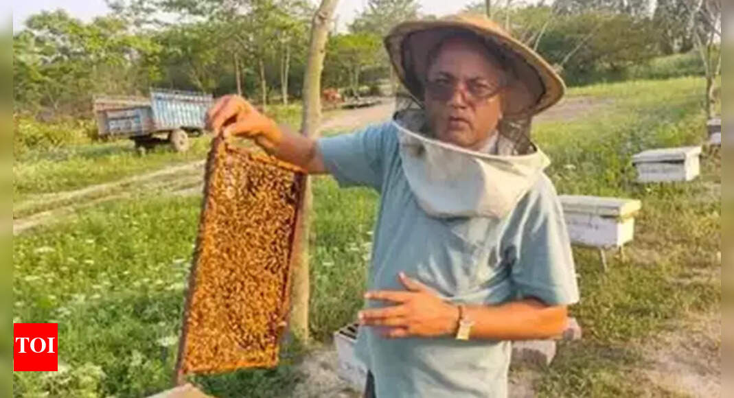 Uttarakhand: Honey testing lab, honeybee clinic sanctioned in ...