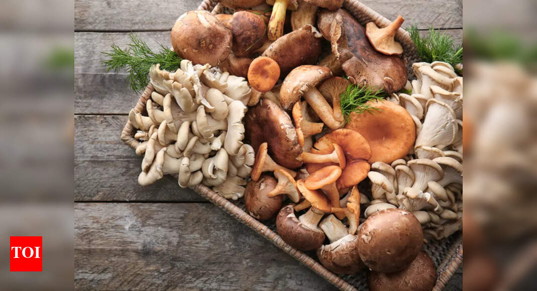 Increasing mushrooms intake may be good for gut health - Times of India