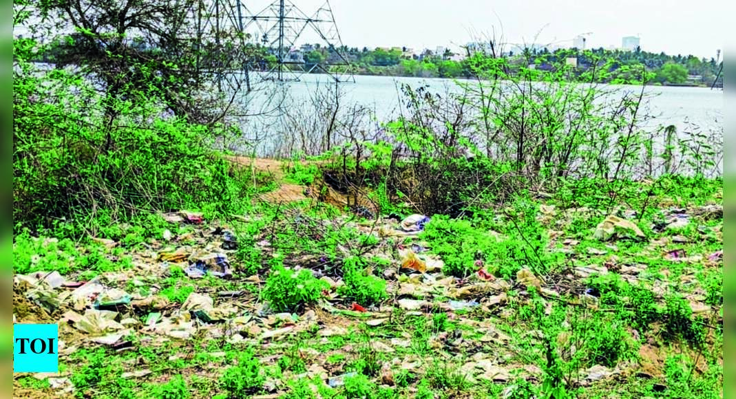 Thalambur: Thalambur Residents Want Dump Yard Near Lake Removed ...