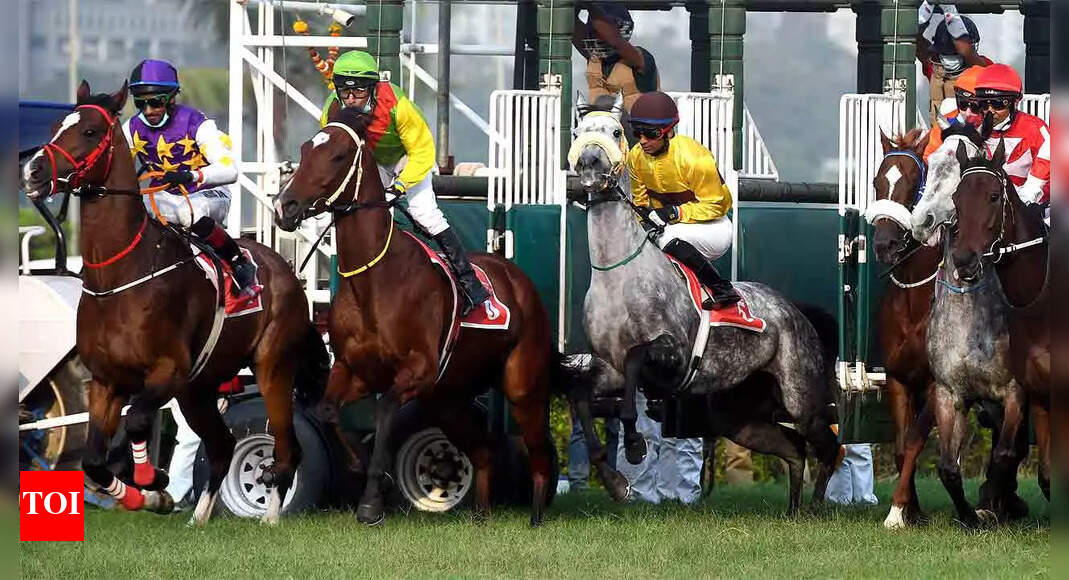 Mumbai Races: Presidential for feature | More sports News - Times of India