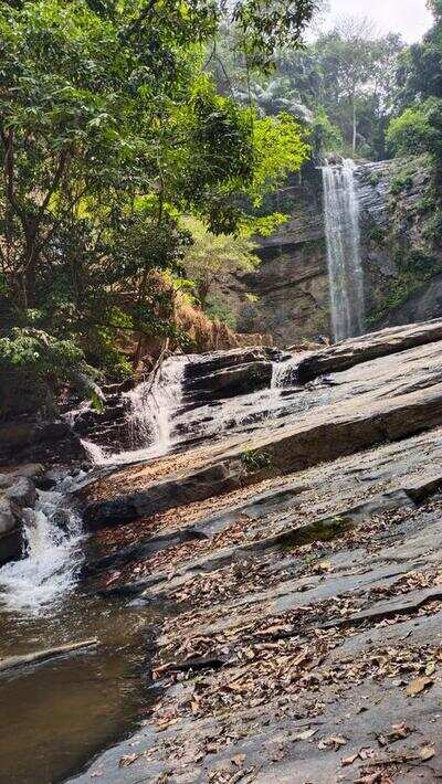 Remote Malavanthige turns into homestay hub | Mangaluru News - Times of ...