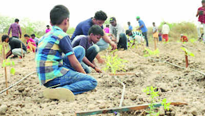 3,000 Saplings Planted | Coimbatore News - Times of India