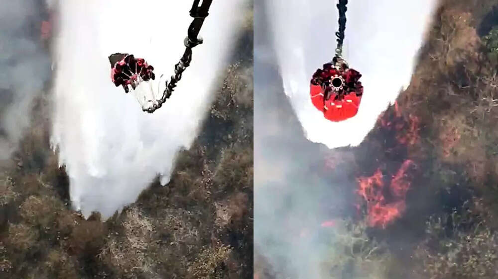 Photos: Another fire breaks out at Sariska Tiger Reserve | The Times of ...
