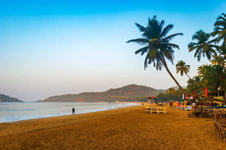 A 7-day itinerary for Goa that has it all! | Times of India Travel