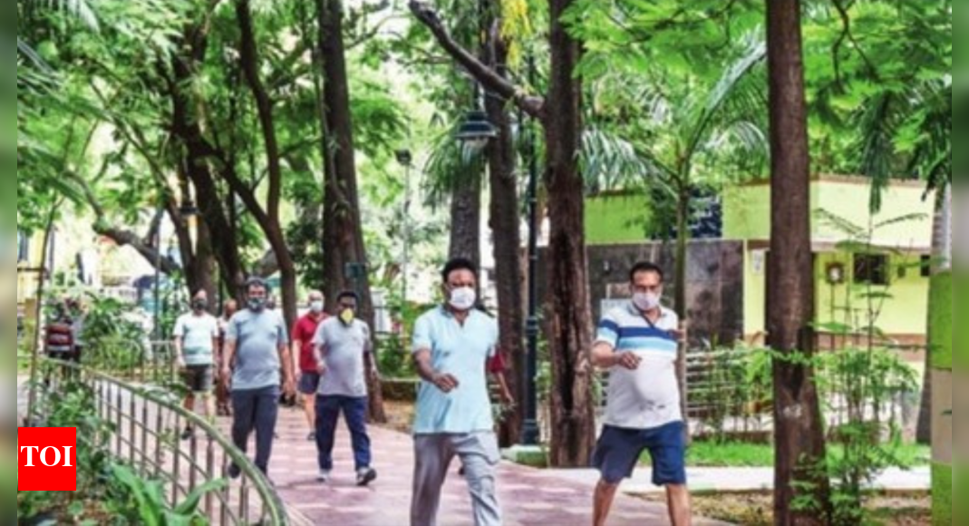 Contractors, private entities to face whip if parks poorly maintained ...