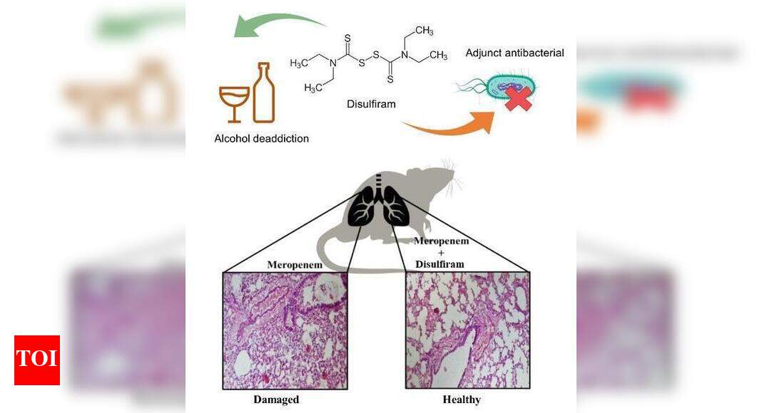 ‘Drug to cure alcoholism can treat blood infection’ | Dehradun News ...