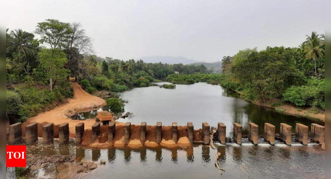 More dams will threaten Goa’s water security: Greens | Goa News - Times ...