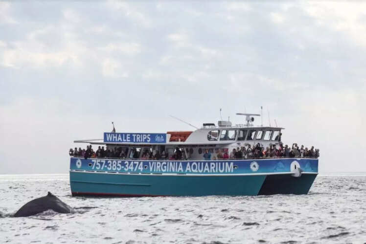 Virginia's many ways to get out on the water | Times of India Travel