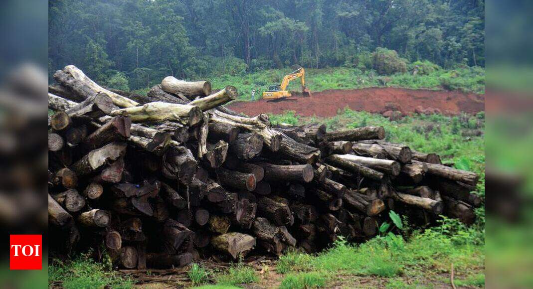 Realign power lines to save Mollem forest: SC to Tamnar | Goa News ...